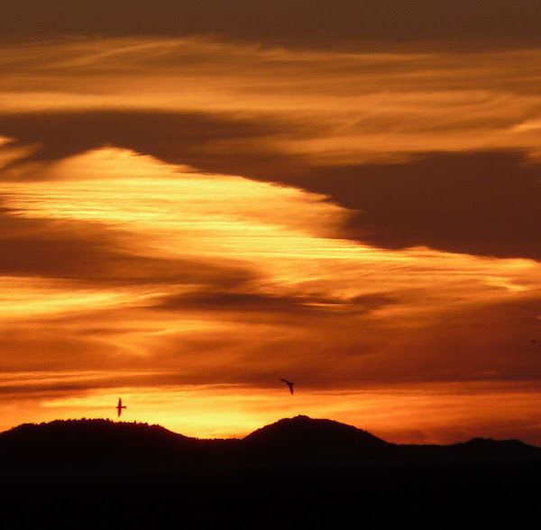 Wild and Wonderful: Sunsets (1): Llanrhidian, Gower