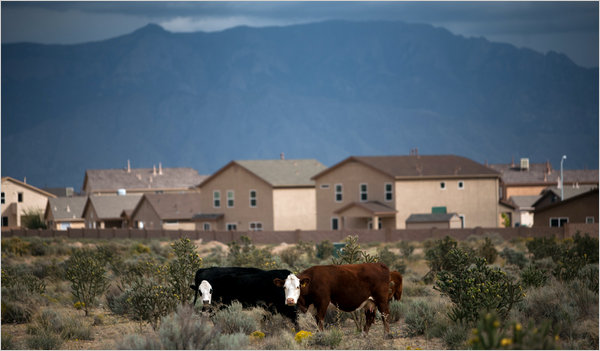 THE WESTERNER: 10/10/2010 - 10/17/2010