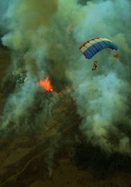 THE WESTERNER: Guns and smokejumpers