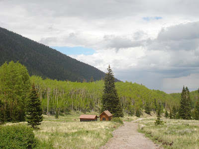 Hiking in Arizona: Hike #40: Inner Basin Trail, Coconino National Forest
