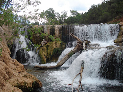 Hiking in Arizona: Hike #42: Fossil Springs Trail, Fossil Springs ...
