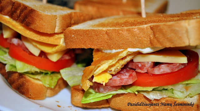 Skanus ir sotus sumuštinis | Pasididžiuojanti Namų Šeimininkė