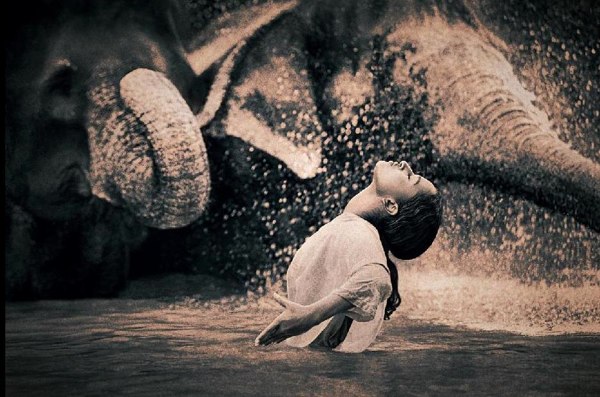 Surface Research - Artists: Gregory Colbert (1960-present)
