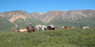 Pioneer Outfitters: History