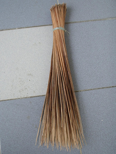 Kami Pemakan LIDI | Pety MINDgazine