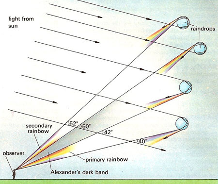 IMBY: A Rear Window View of Brooklyn's South Slope: South Slope Double ...