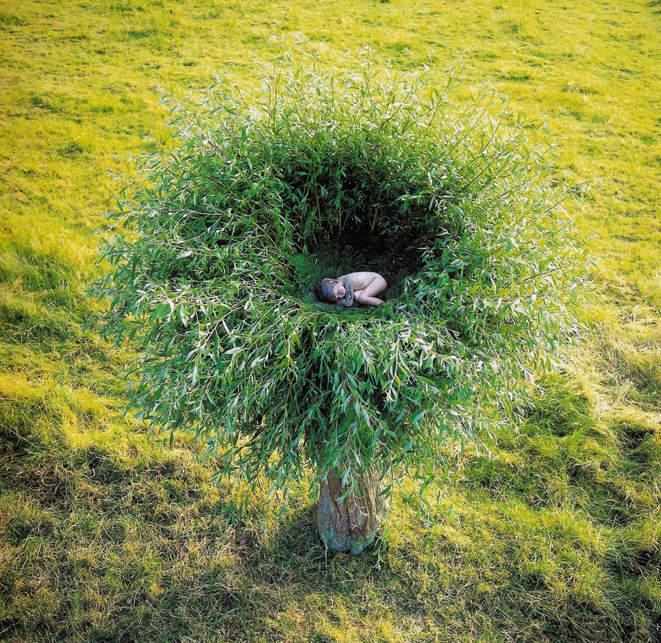 paradis express: Nils Udo