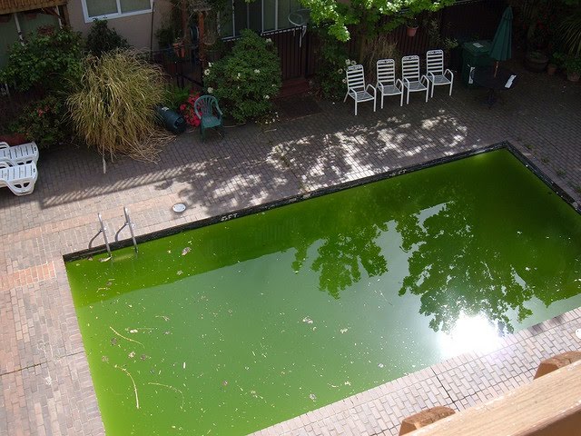 paradis express: Green pools
