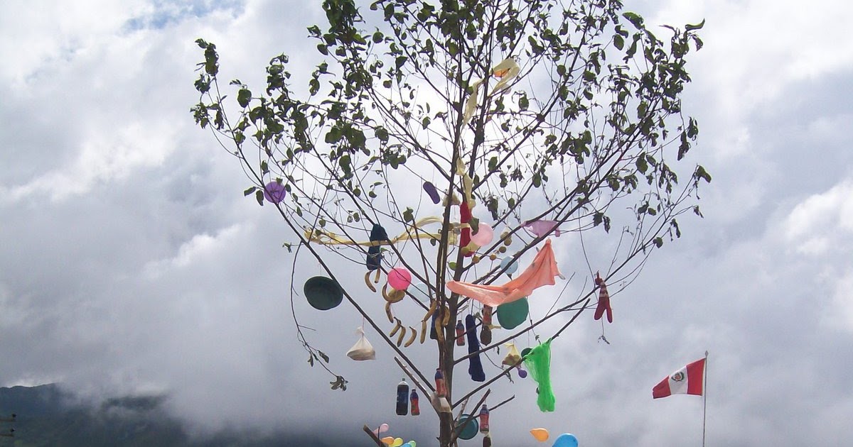 Discovering Peru: Unsha