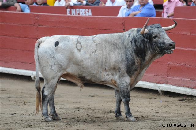 DETOROS Y MAS: Análisis Toro a Toro de la corrida de ayer (Acho)