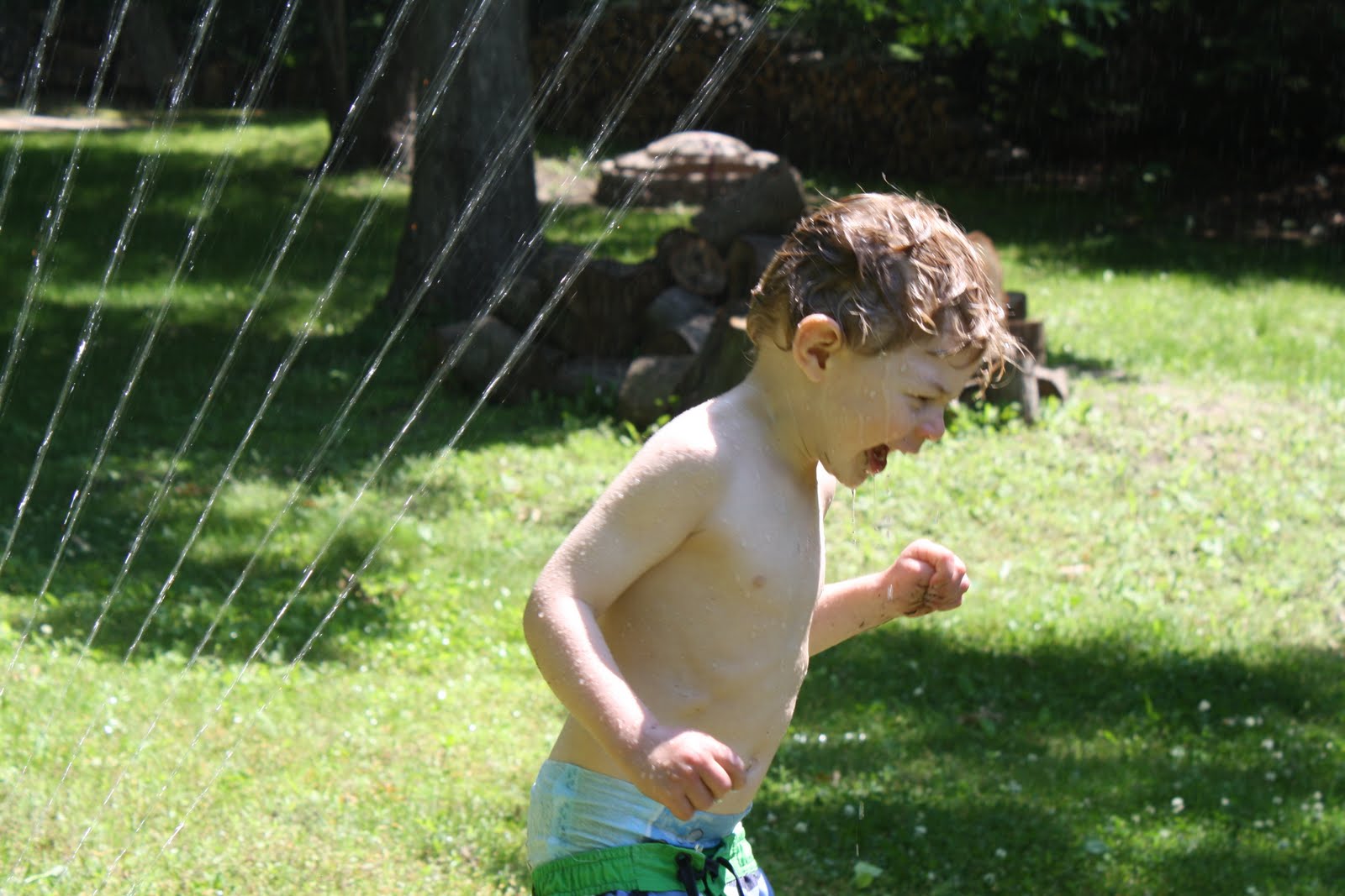 Welcome to Elijahland: June 2010