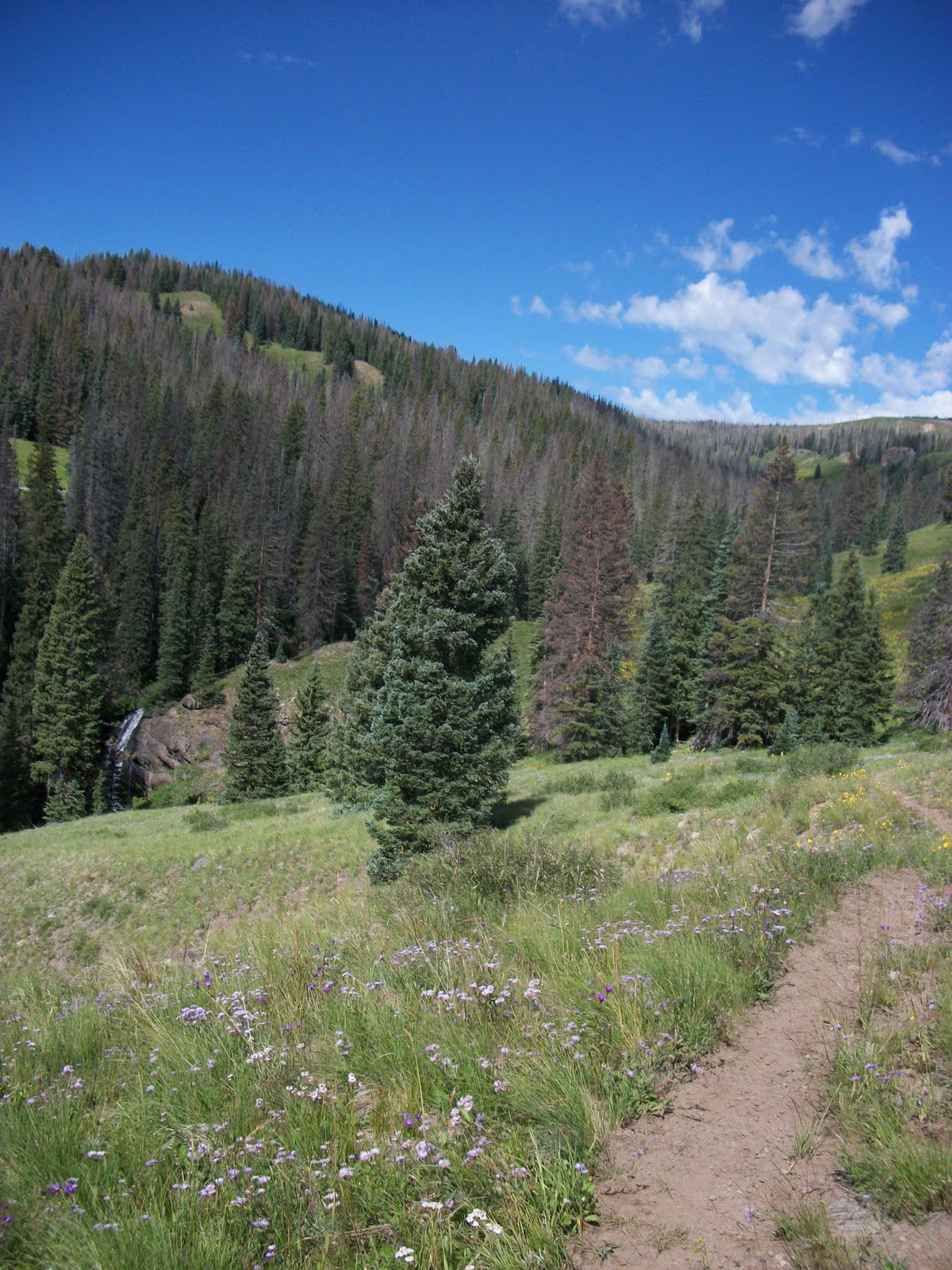 singlespeedintheway: Trail 813, Cumbres Pass Colorado