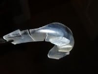 Dr Kaz Advanced Dentistry: New, simple NTI appliance for teeth ...