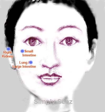 Simply Senz: Outer Beauty is Inner Organs Balancing