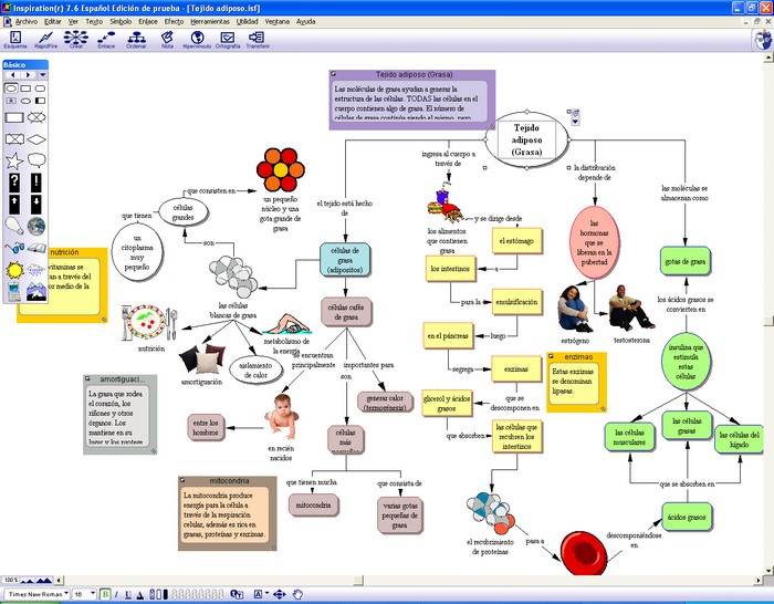 LAUTIC'S: PRACTICA EN EL PROGRAMA INSPIRATION 8