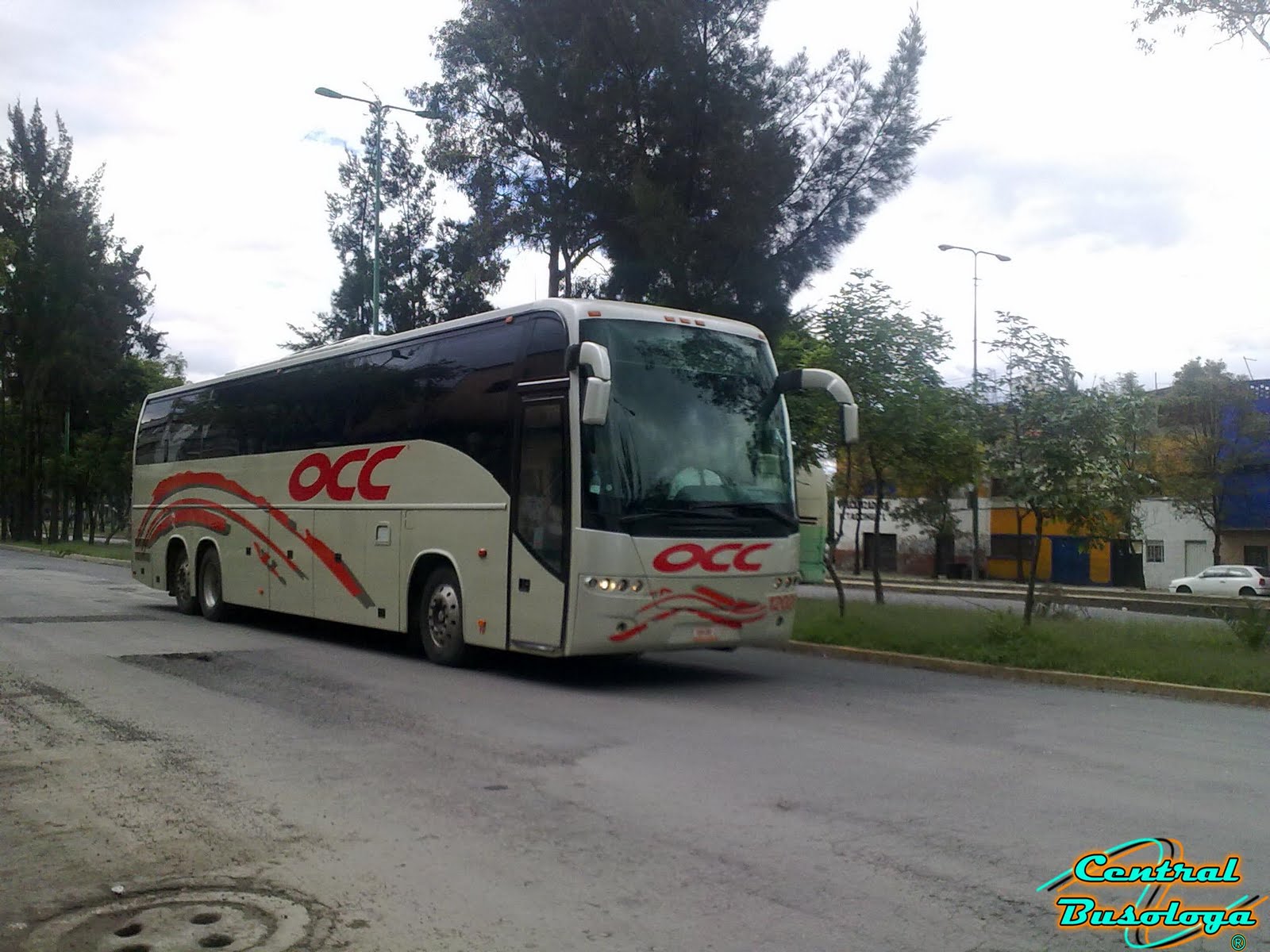 o.OCentral BusologaO.o°•: OCC