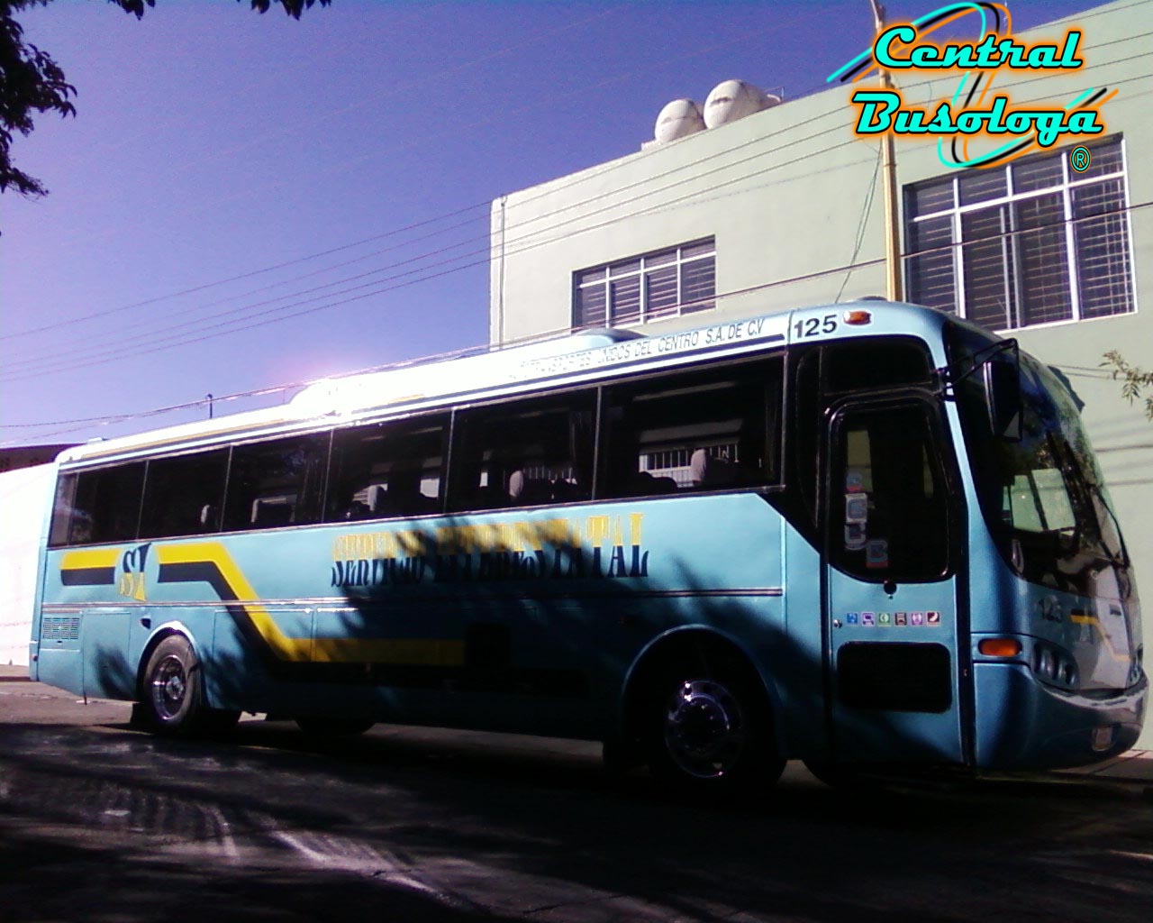 o.OCentral BusologaO.o°•: Servicio Interestatal