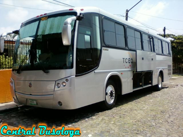 o.OCentral BusologaO.o°•: Tceo