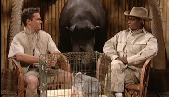 Igwell Predicts...: Brian Fellow's Safari Planet Video Guide