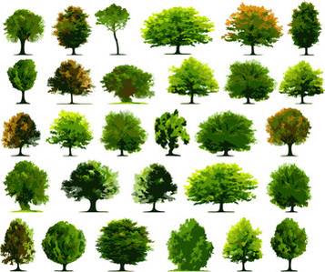 Free for Photoshop: Trees Vectors