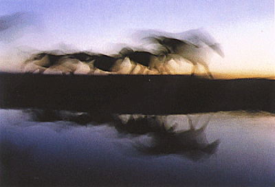 O Mundo da Fotografia: Ernst Haas (1921-1986)