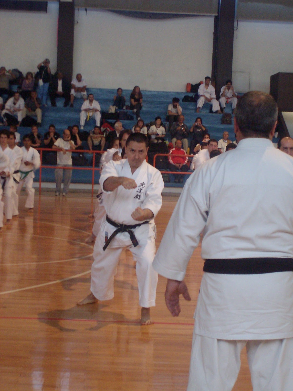 SHORIN RYU TAISHINKAN: OKINAWAN RENGOKAI KARATEDO & KOBUDO WORD CHAMPIONSHIP STYLES IN ARGENTINA ...