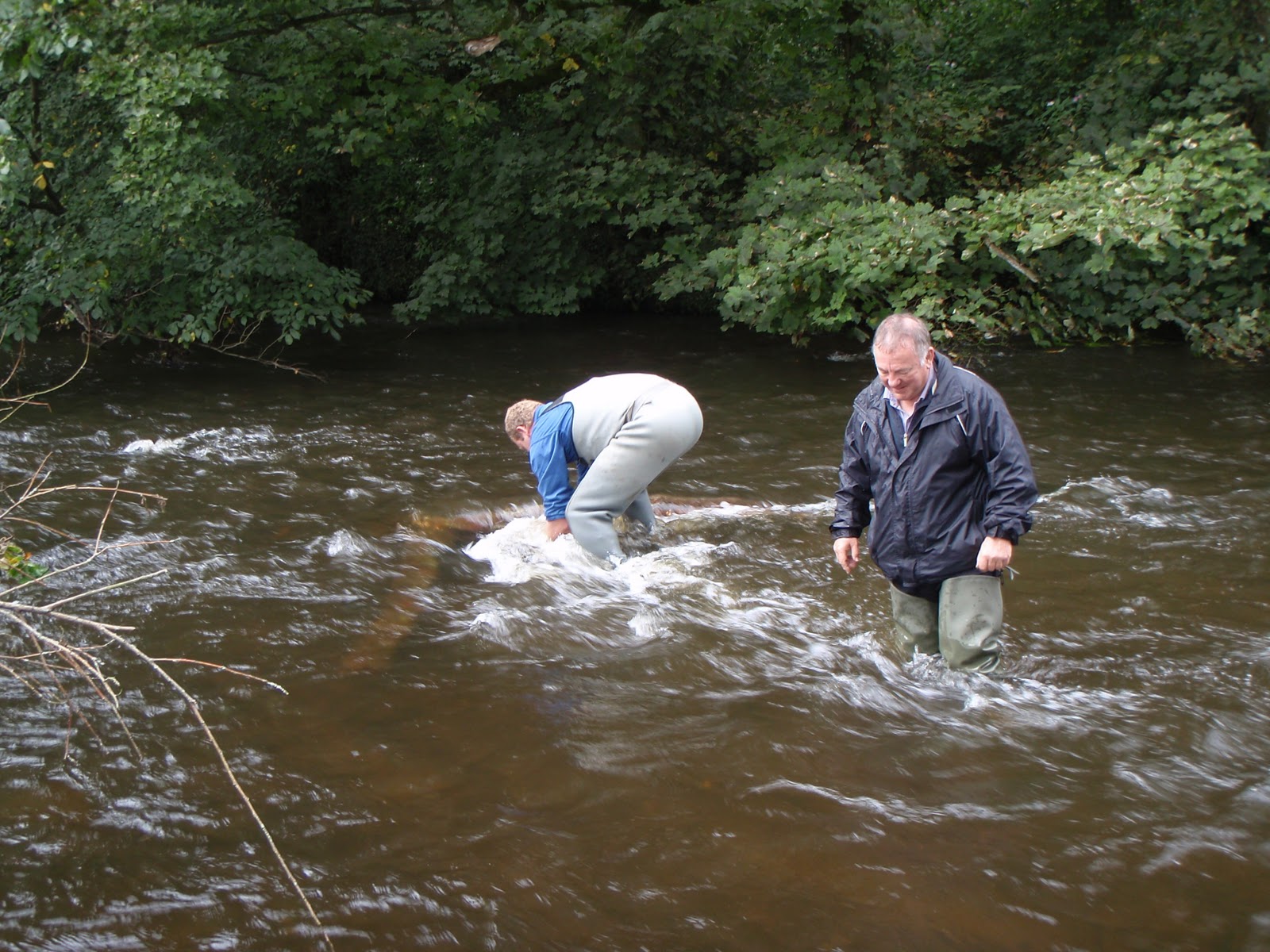 DNMAC River Goyt restoration: two more "V" flow deflectors ...