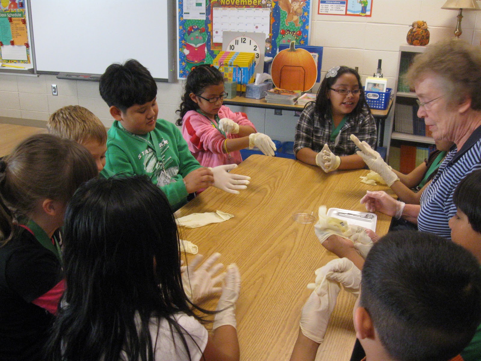 Schmidt's Stars: Growing Healthy by learning about our eyes!