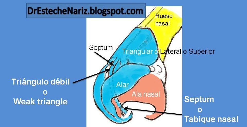 Dr Esteche | Rinoplastia | Cirugía | Plástica de Nariz | Nose |Surgery ...