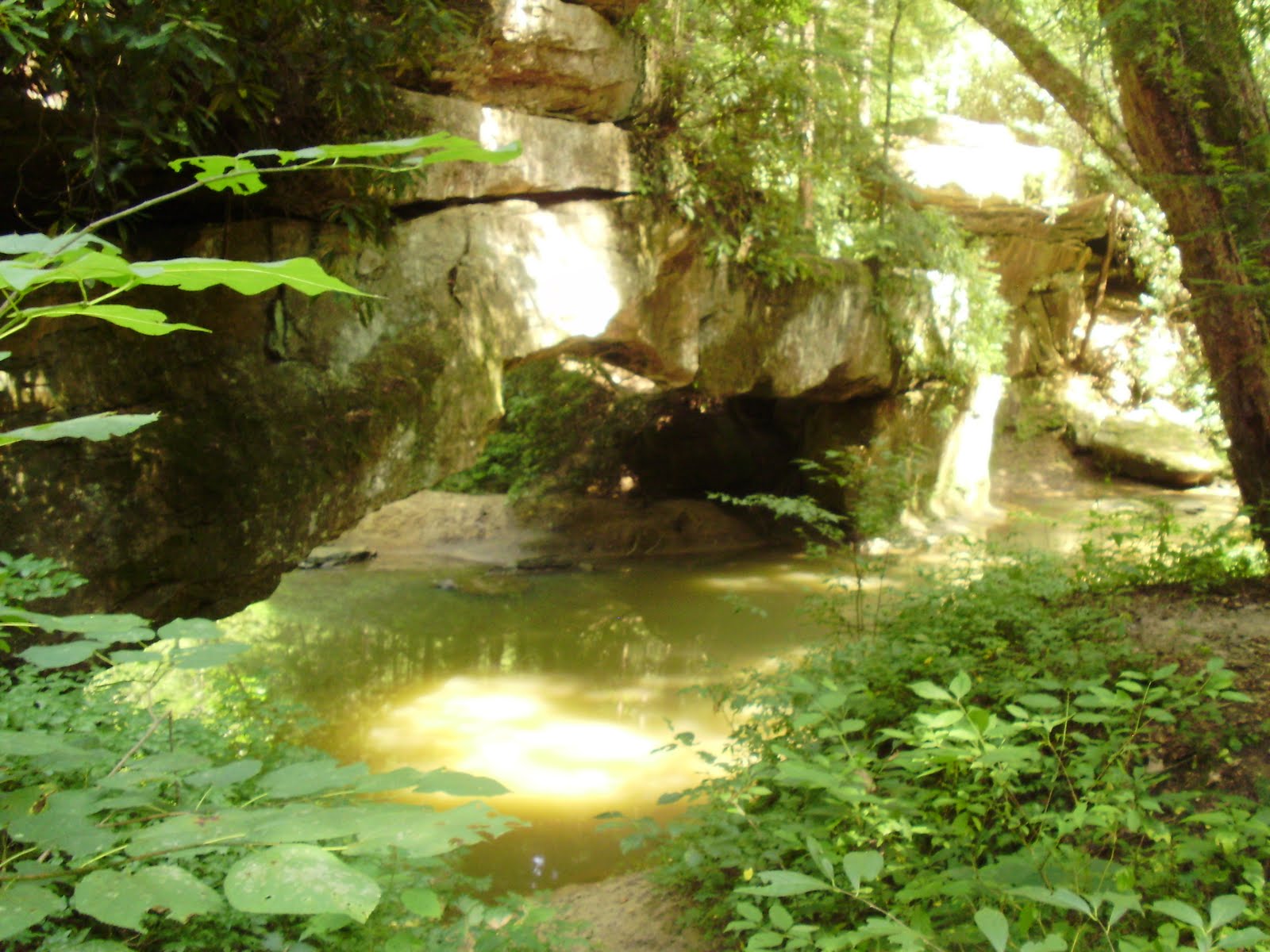 Red River Gorge Kayak Cave Tour