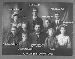 Angell Family Reunion