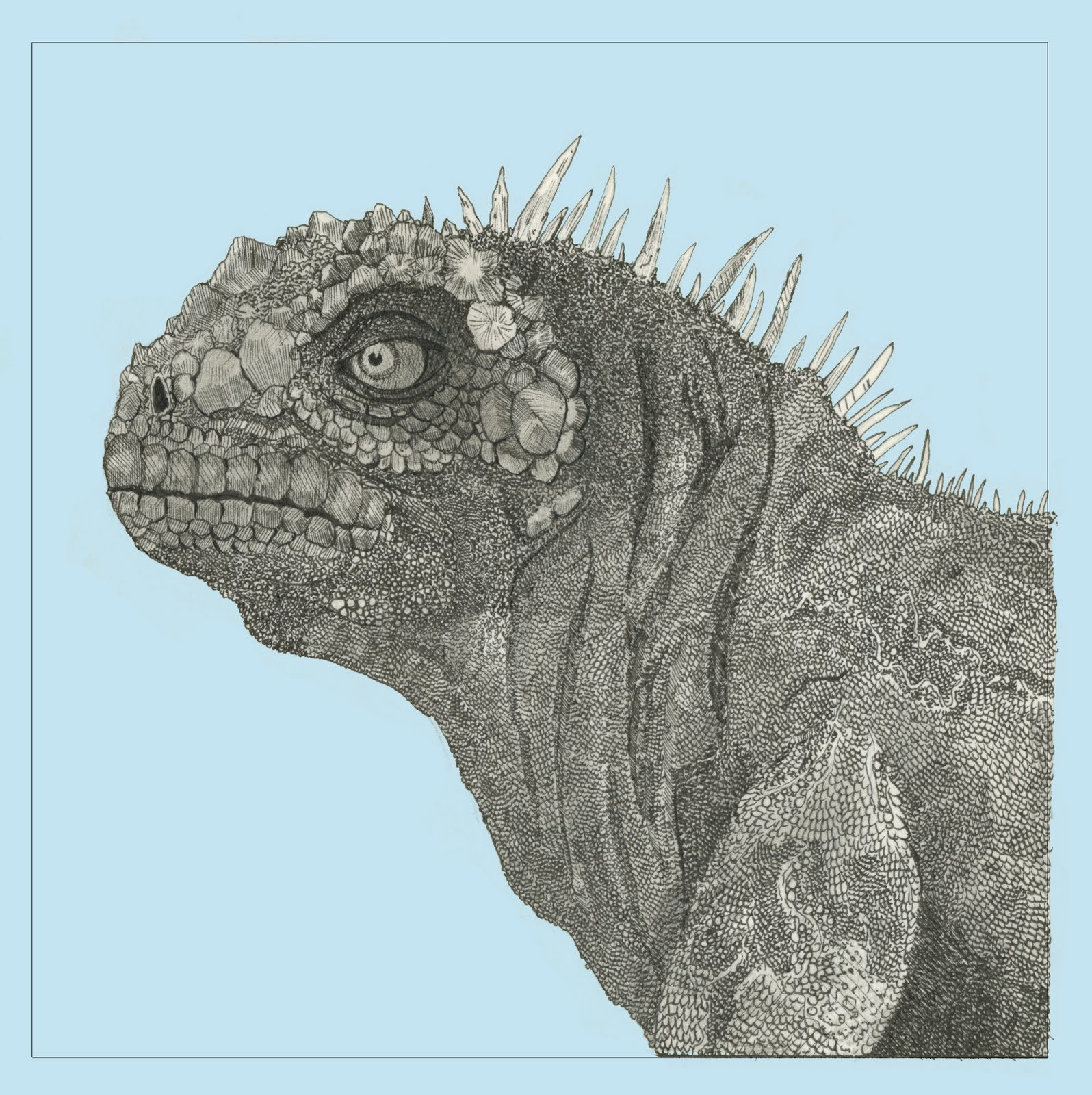 Ben Rothery Illustrator: A Drawing a day