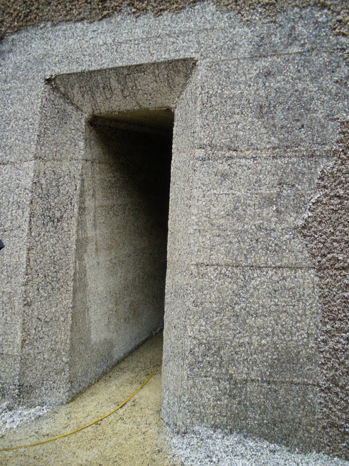 Friends of the Ballard Locks: More Down Under the Large Lock