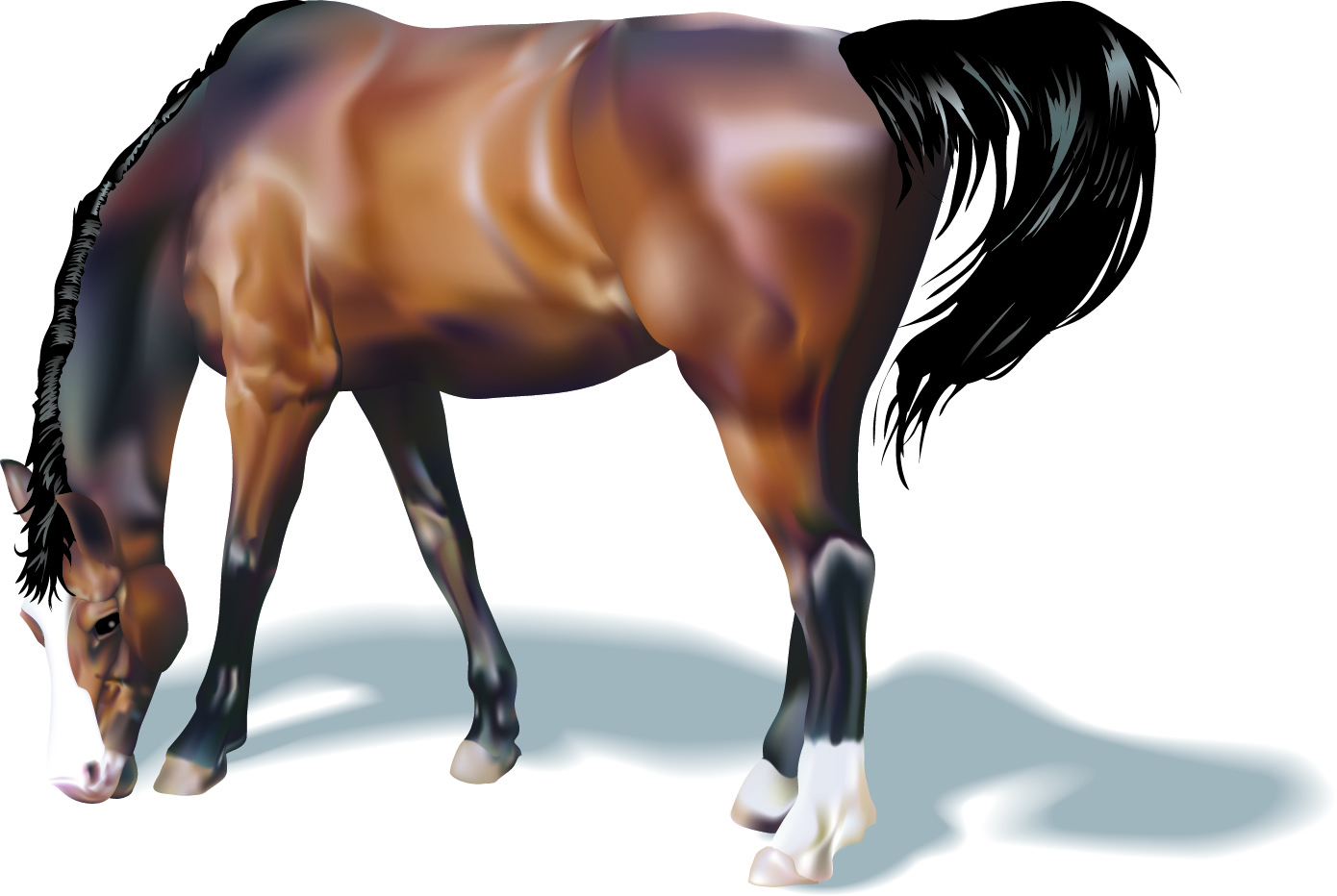 Vectorian art: Horse Real Vectorfree download, free download vector ...