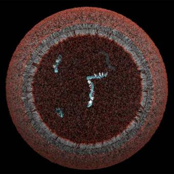 O Universo além da Terra | The Universe Beyond Earth: Protocélula