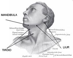 Jurnal Perawat: Limfadenitis Tuberkulosis ( TBC Kelenjar Getah Bening )