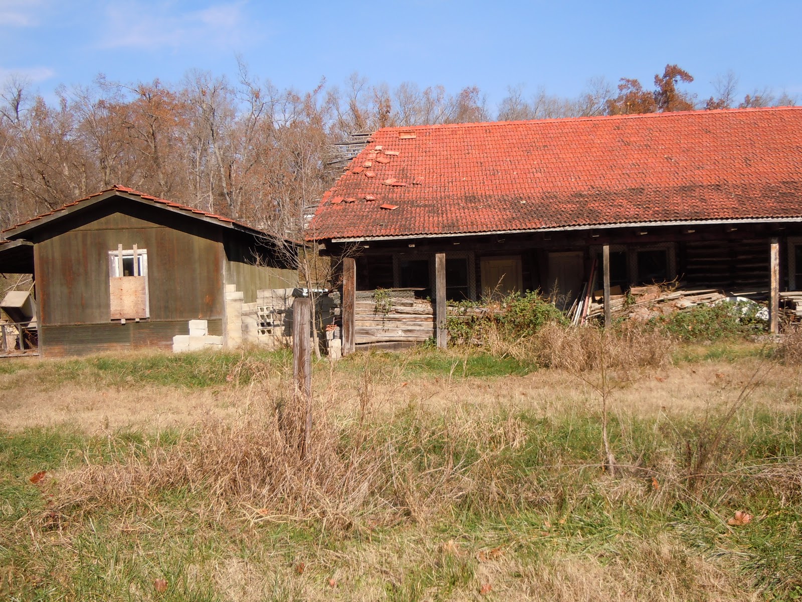 B0FF0's Brain Activity Page: B0FF0's Blog: Monte Ne