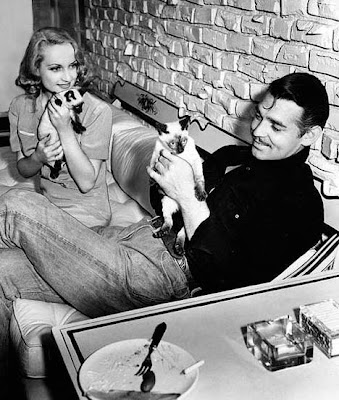 a life's style: cats with famous owners