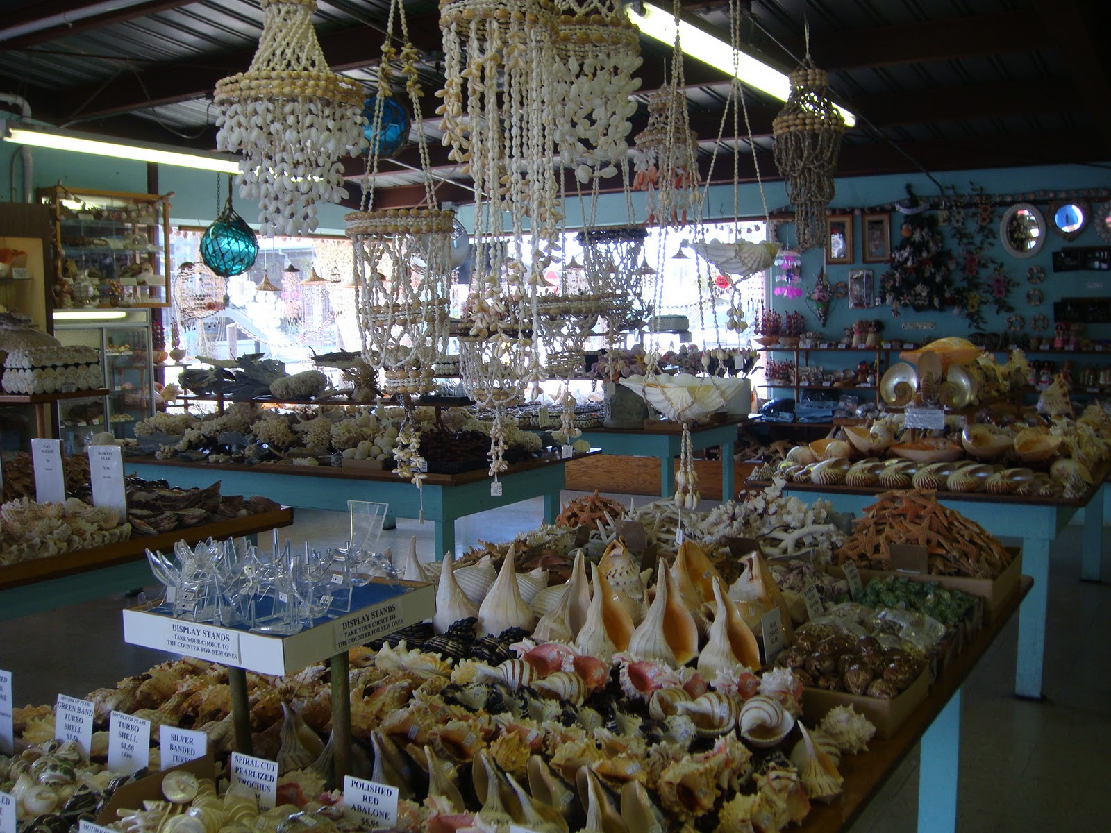 The Shell Shop in Morro Bay | sealaura