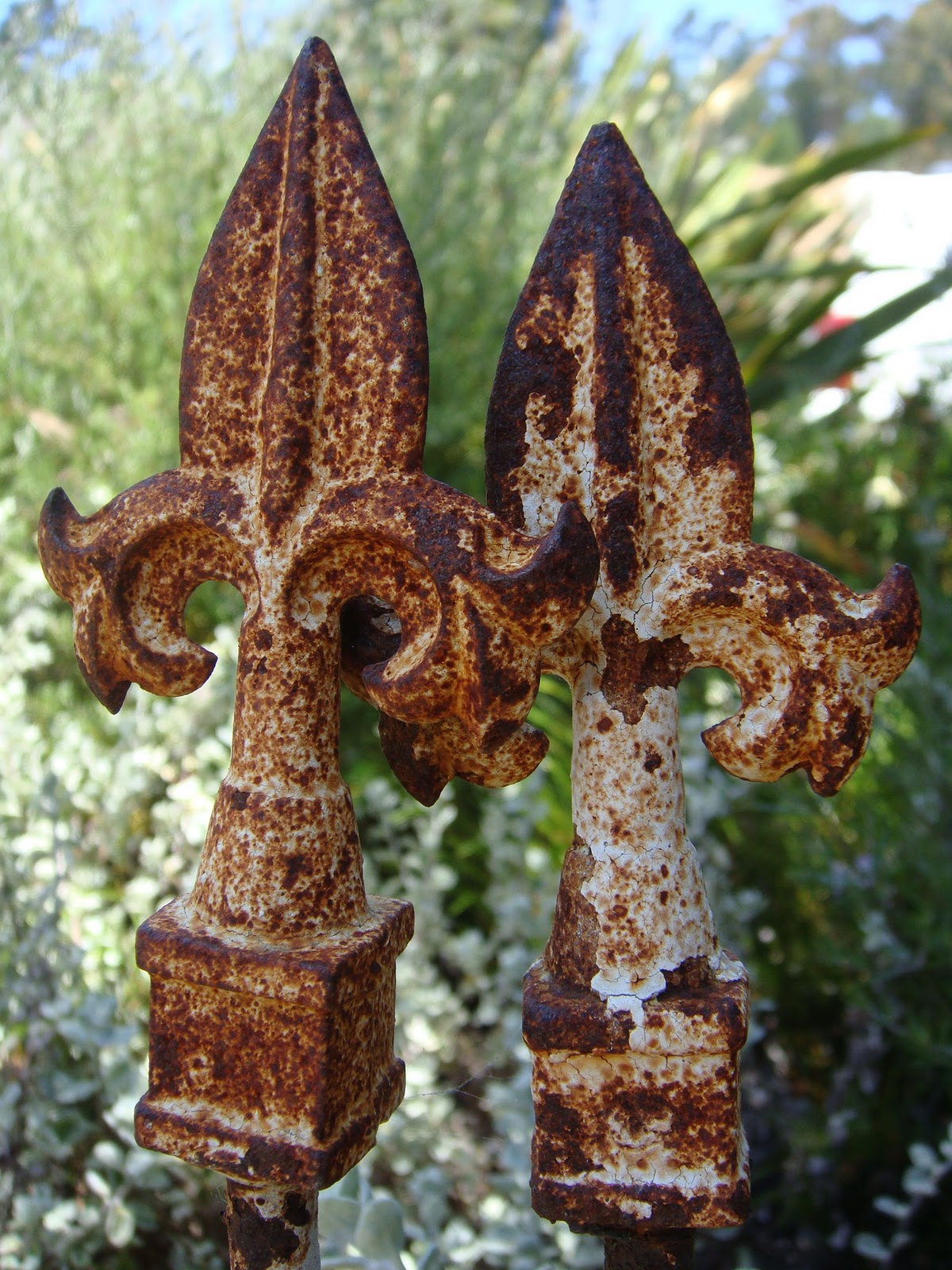 Feeling a little rusty.. | sealaura