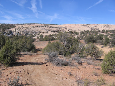 Four Corners Hikes-Cedar Mesa in Utah: Butler Wash Ruins Overlook Trail