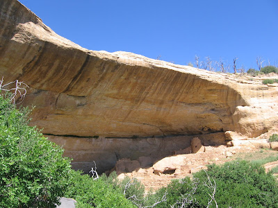Four Corners Hikes-Mesa Verde: Step House Trail on Wetherill Mesa