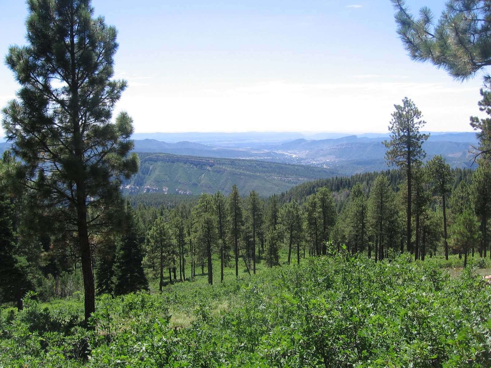 Four Corners Hikes-Dolores River Valley Colorado: Animas Overlook Trail
