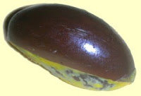 alindanaw: Interesting Fruit - Tiessa or Egg Fruit