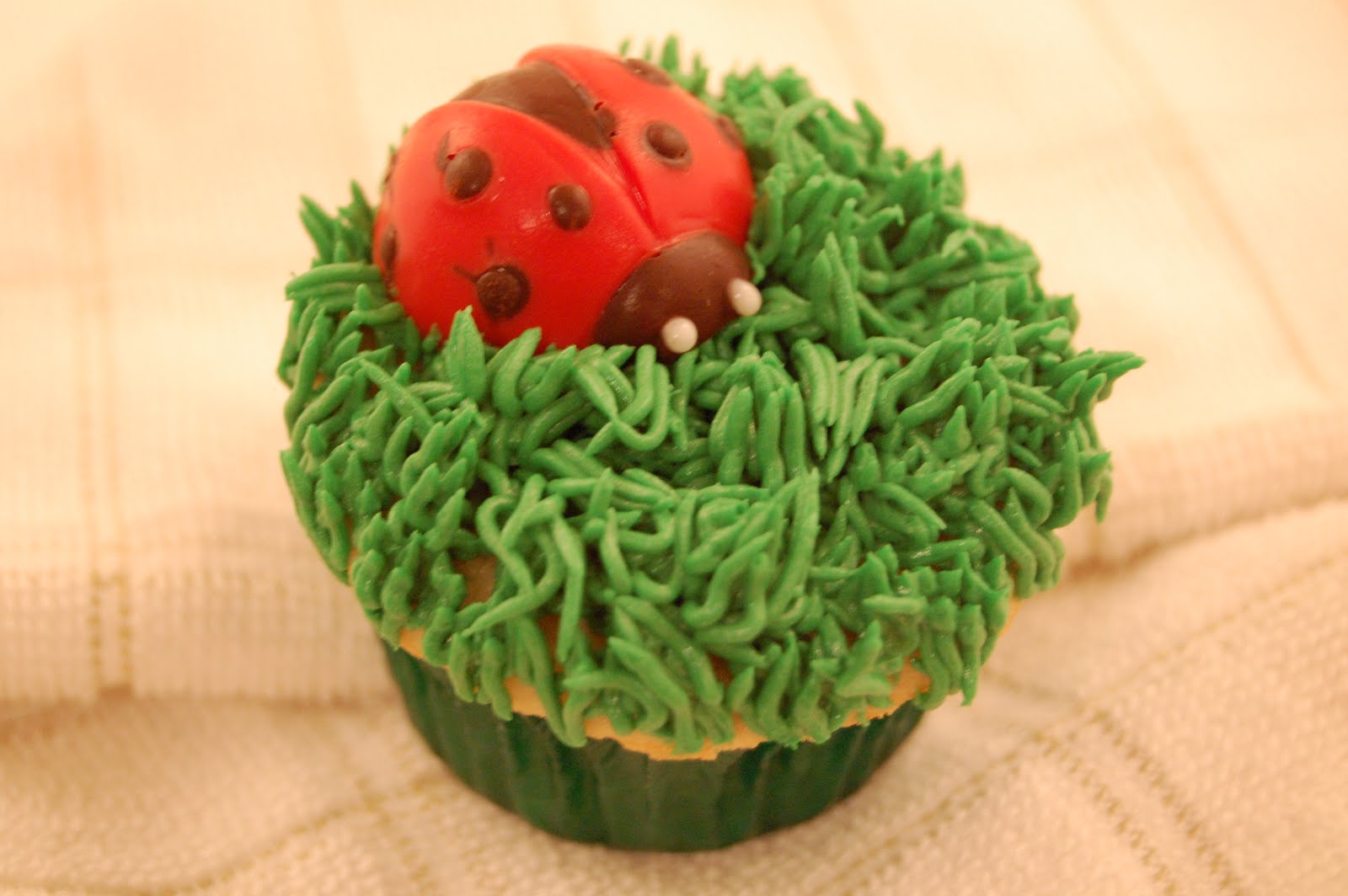 Cupcakes by Coley: Custom Lady Bug Cupcakes