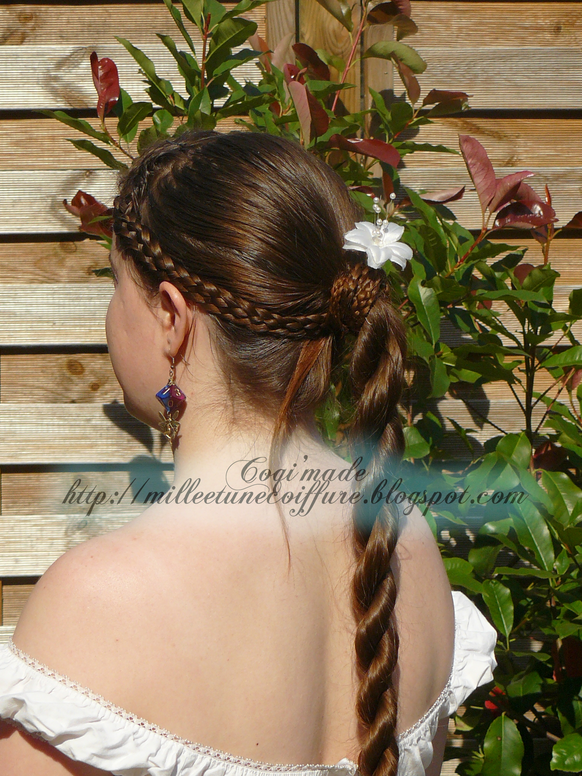 1001 coiffures: Tuto coiffure tresses deux brins hautes et deux tresses ...