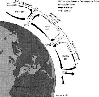 Sirkulasi Hadley, Sirkulasi Walker, dan Monsun