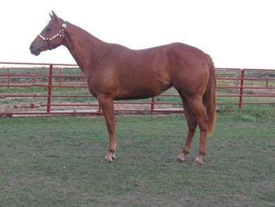 Meanwhile.......Back at the Ranch: September 6, 2009