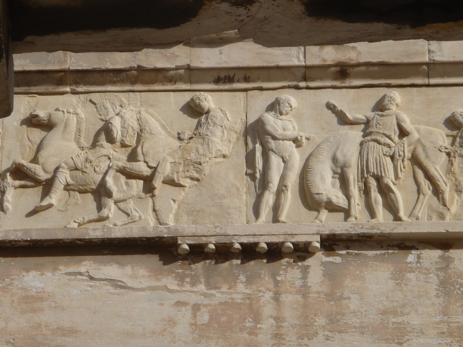 stray kitties of Acropolis,Ancient and Roman Agora wondering through ...