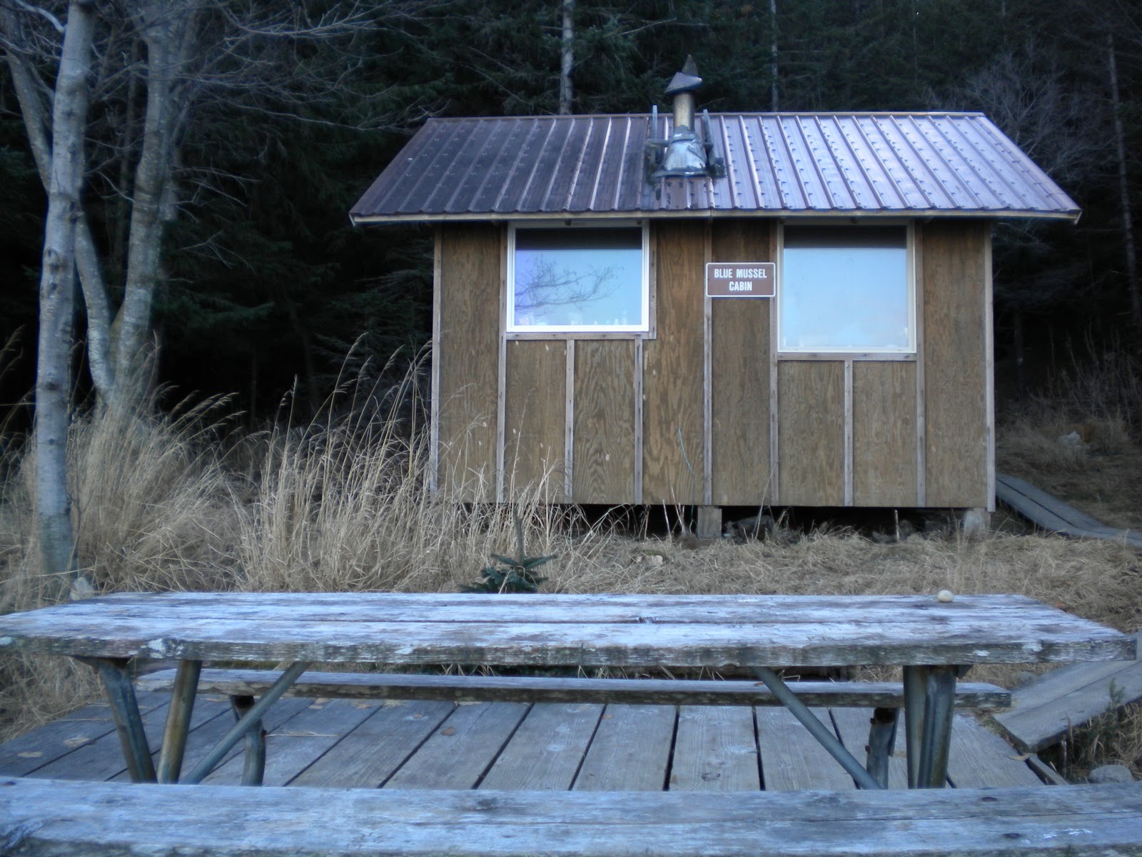 Where Ocean and Mountains Collide: Blue Mussel Cabin